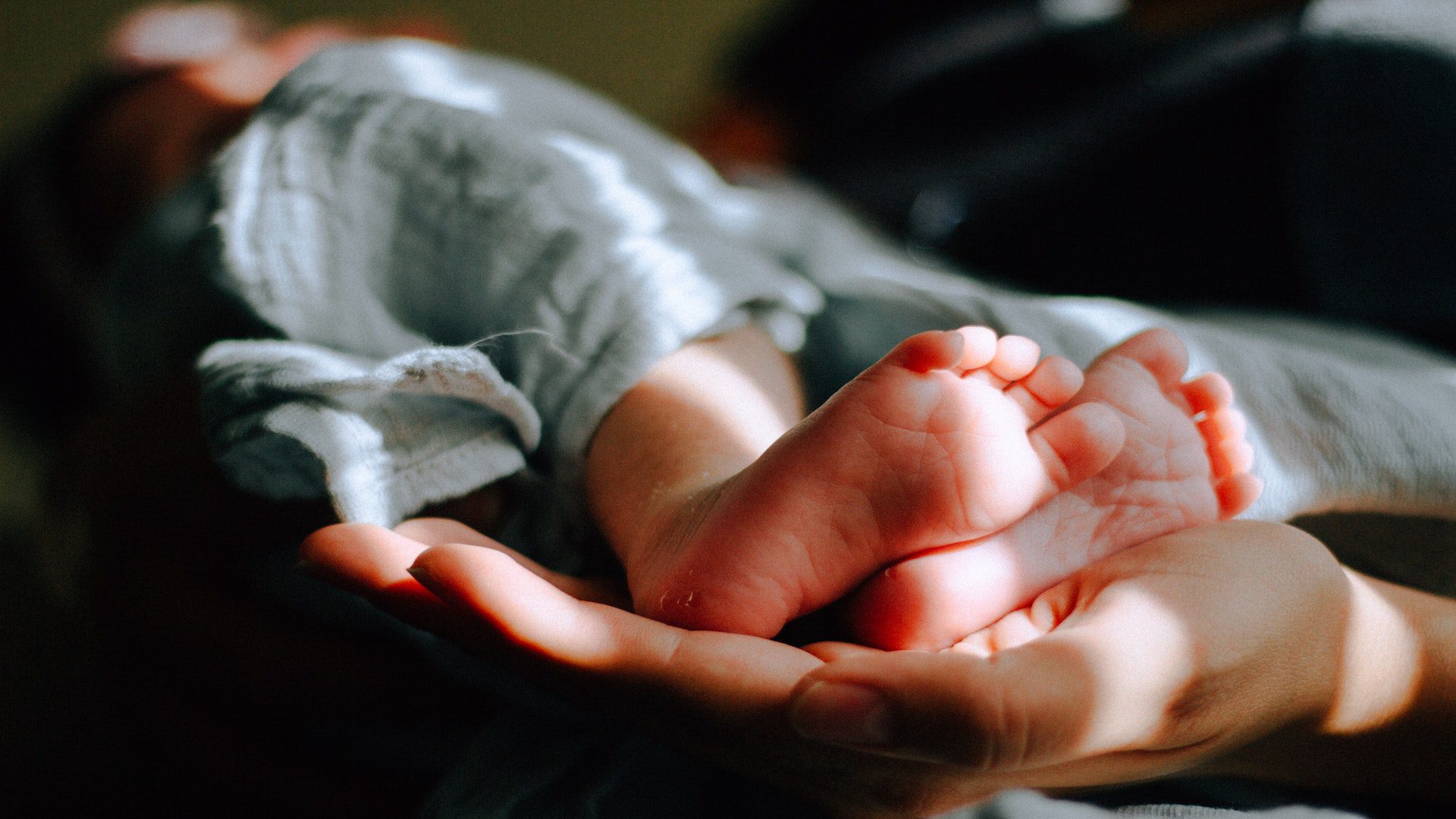 Protecting the Unborn: Resources from Radical – Radical