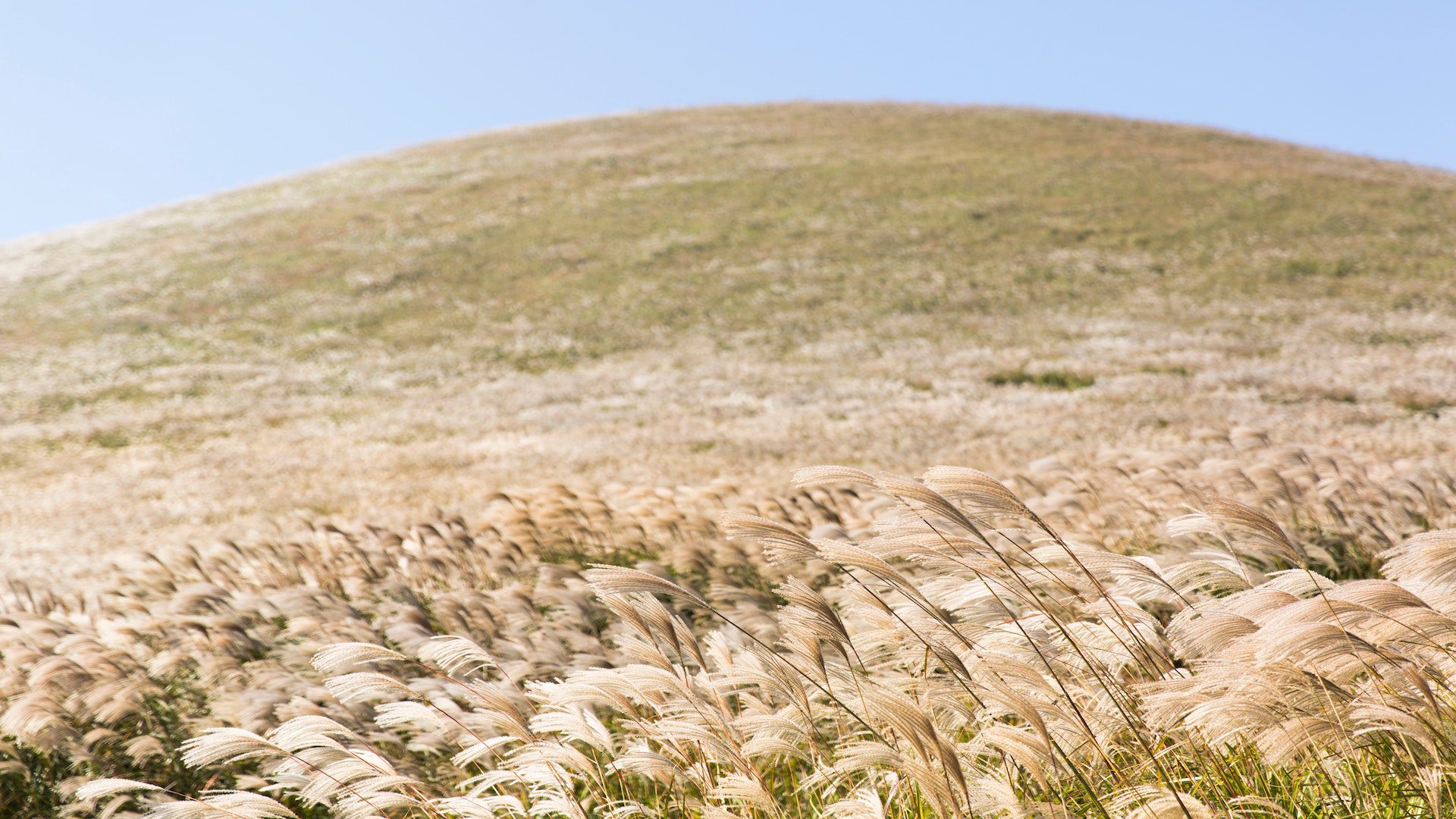 A Plentiful Harvest (Matthew 9:37–38) - Radical
