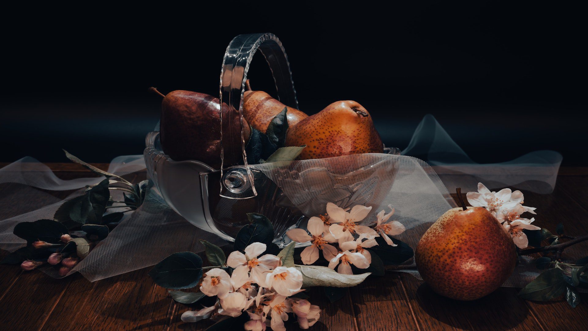 The Harvest is Plentiful (Proverbs 10:5) - Radical