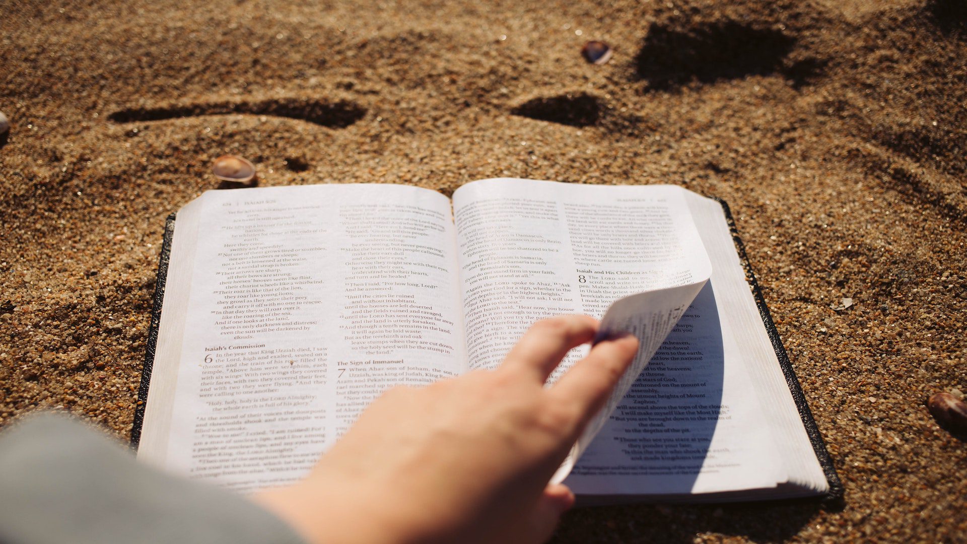 A Thousand Episodes of Pray the Word (Psalm 119:147) - Radical